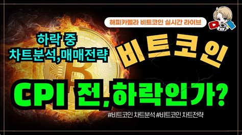 비트코인 실시간 비트코인 하락 중 Cpi 전 하락인가 방향성은 513 점심💎비트코인 비트코인실시간 이더리움 리플 Cryptocurrency 차트분석