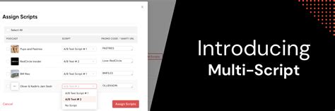 Introducing Multi Scripts Create Infinite Personalized Scripts In