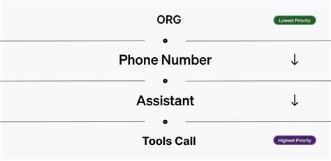 setting server urls vapi