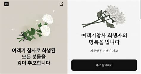 네이버·카카오 제주항공 여객기 참사 추모 페이지 마련