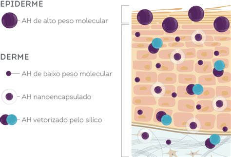 Ácido Hialurônico O Que é Porque E Como Usar Extratos Da Terra