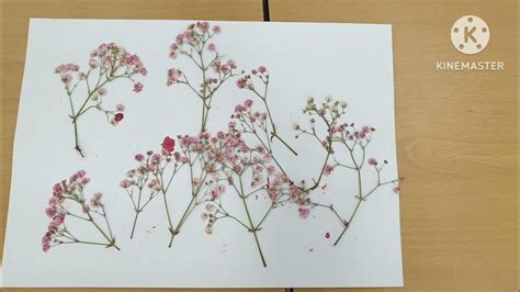 말린 꽃을 이용한 압화 작품 Youtube