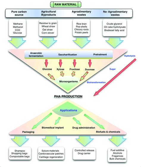 Overview Of The Production Of Polyhydroxyalkanoates From Different