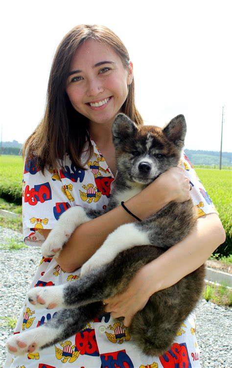 Akita Dog Fureai Experience Noshiro City Akita Prefecture 查找东北的观光景点