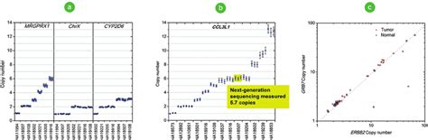 Determination Of Copy Number Variation States By Droplet Digital Pcr Download Scientific