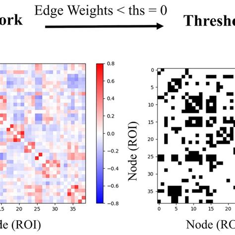 Example Of A Functional Connectivity Matrix Network Before And After Download Scientific