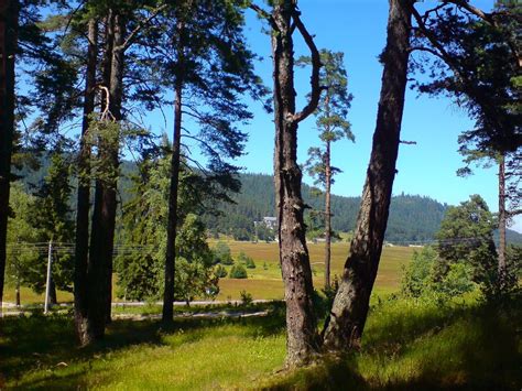 БЪЛГАРИЯ ВЕЛИНГРАД И ОКОЛНОСТИ В СНИМКИ Юндола