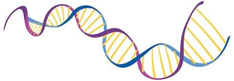 Dna A Paradigm Shift In Medicine Richard Mike Faris Posted On The Topic Linkedin