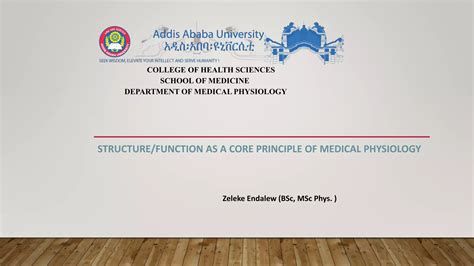 structure function relationship ppt