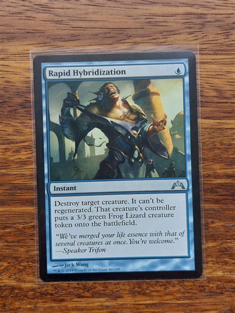 Mtg Rapid Hybridization Pili Pala Hobbies And Toys Toys And Games On