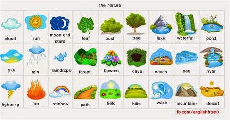 Most Types Of Nature In English English For Beginners English