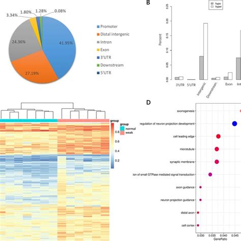 Dna Methylation Differences Between The Weak And Normal Group Sperm Download Scientific Diagram