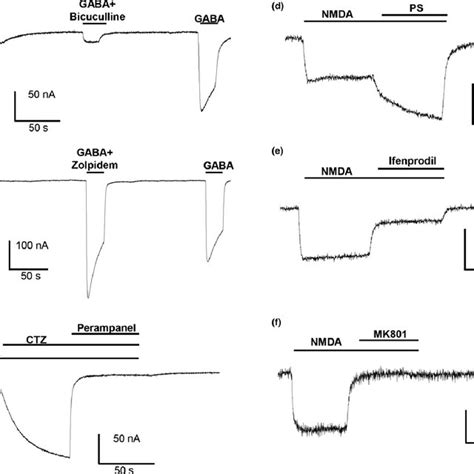 Rat Prefrontal Cortex Synaptosomes A 20 S Co Application Of 100 Lm