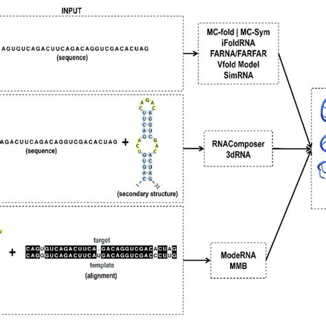 Input And Output Files Of Rna Tertiary Structure Prediction Tools