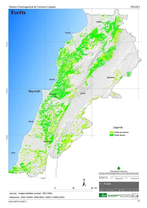 Dense Forests Dark Green And Lightly Dense Forests Light Green