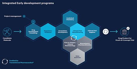 Drug Development Overcoming Challenges On The Path From Candidate Selection To First In Human