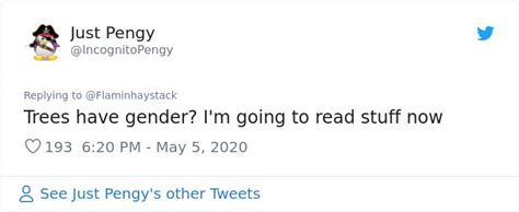 Scientist Discovers That Tree Sexism Might Be A Major Reason Behind Many Spring Allergies