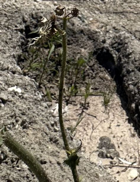 April Humason On Linkedin Battleinthewilderness Faithandstruggle Romans1089 Confessandbelieve…