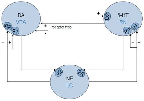 Interplay Between The Monoamine Neurotransmitters Dopamine Da Download Scientific Diagram
