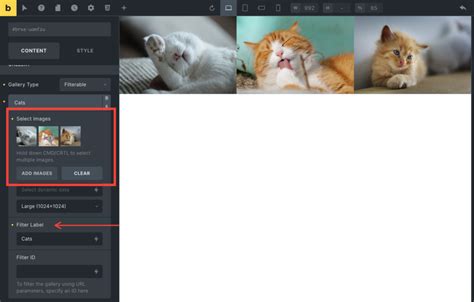 How To Create A Filterable Image Gallery Using Bricks Builder Max
