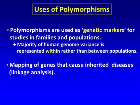 Ppt Gene Mutation Polymorphism Gene Mapping And Identification