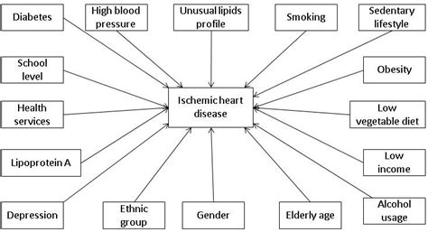 The Theoretical Model For Some Of Most Important Risk Factors Of Ihd