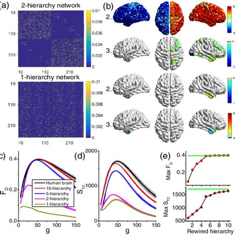 Pdf Hierarchical Connectome Modes And Critical State Jointly Maximize Human Brain Functional