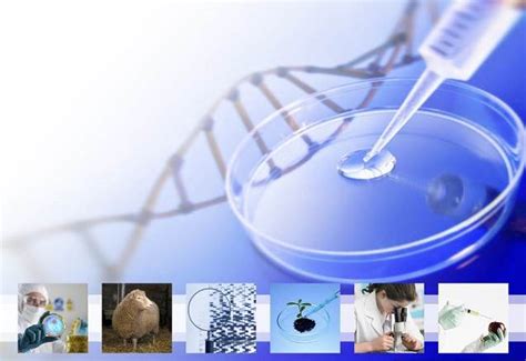 ¿qué Es La Biotecnología Centro De Biotecnología