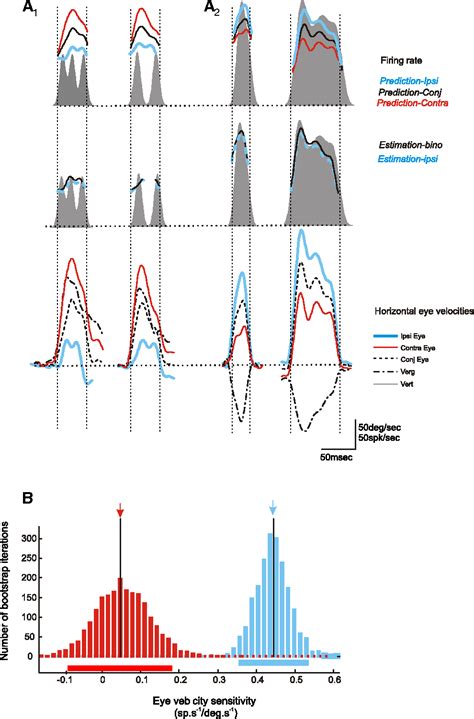 Figure 9 From Dynamic Coding Of Vertical Facilitated Vergence By