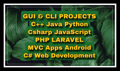 Script Python Java Cpp Database Projects And Bots With Gui By Sikfarhan Fiverr