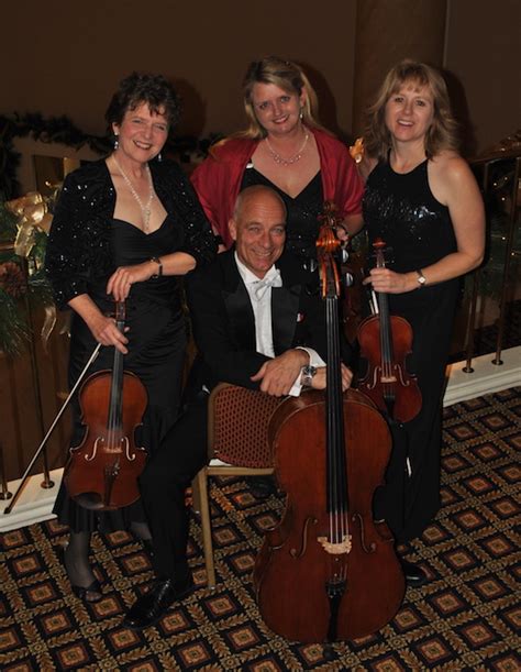 Silver Strings - Nationwide LGBTQ+ Wedding Vendors & Expos by ...