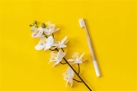 천연 환경 친화적 인 대나무 브러시와 오리드 꽃 종이 노란색 배경에 텍스트 또는 디자인 상단 보기 플랫 레이아웃에 대한 복사 공간 개념에 대한 스톡 사진 및 기타 이미지