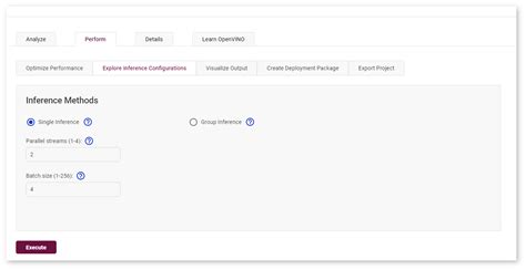 Run Inference — Openvino™ Documentation
