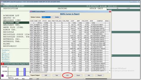 How To View Current Stock In Csv Format In Marg Software