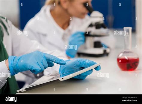 Side View Female Scientists Lab Working With Microscope Tablet Stock Photo Alamy