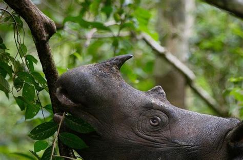 5 分钟了解现在的 Llm 实现 知乎