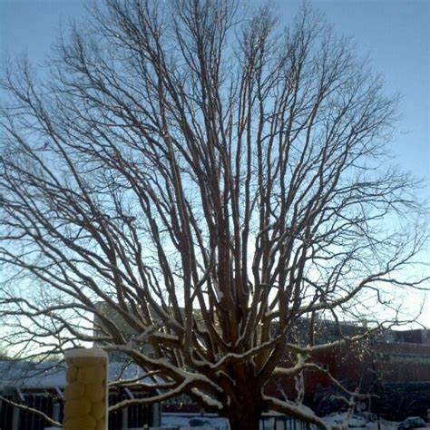 Microbial Sciences Building College Science Building In Madison