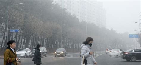 날씨 대전·충남·세종 아침까지 안개 짙게 껴낮 최고 28도