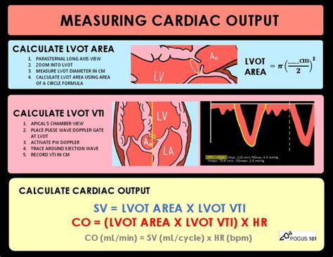 Cardiac Output Stroke Volume Ultrasound Echocardiography Handout Pdf Download Pdf