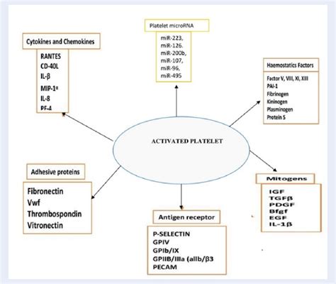 Activated Platelet Releases Both Activation And Inflammation Makers Download Scientific