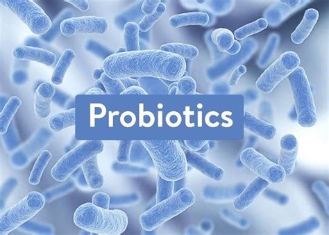 Tất cả những gì bạn cần biết về men vi sinh tranandbeauty com