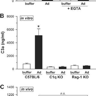 Ad Activates The Classical Pathway Both In Vitro And In Vivo Download Scientific Diagram