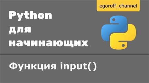5 Ввод и вывод данных python Команда input youtube