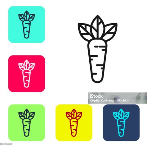 흰색 배경에 격리 된 검은 색 선 당근 아이콘입니다 색상 정사각형 버튼으로 아이콘을 설정합니다 벡터 일러스트레이션 건강한 생활