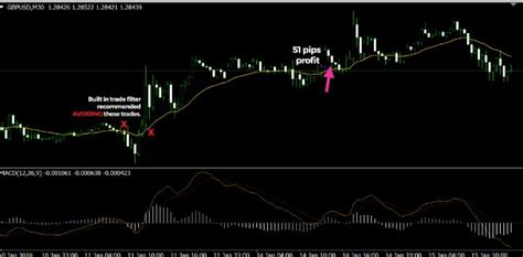 Signals Review LeapFXs Power Trader Forex Robot Nation