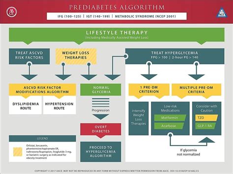 Aace Type 2 Diabetes Management Algorithm
