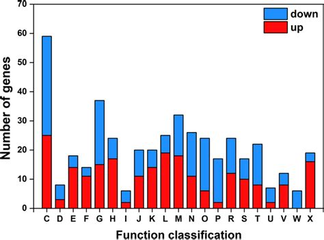 cog annotation analysis of degs download scientific diagram