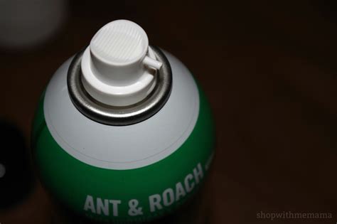 Control Those Insects With Combat Max Ant And Roach Killing Foam Spray