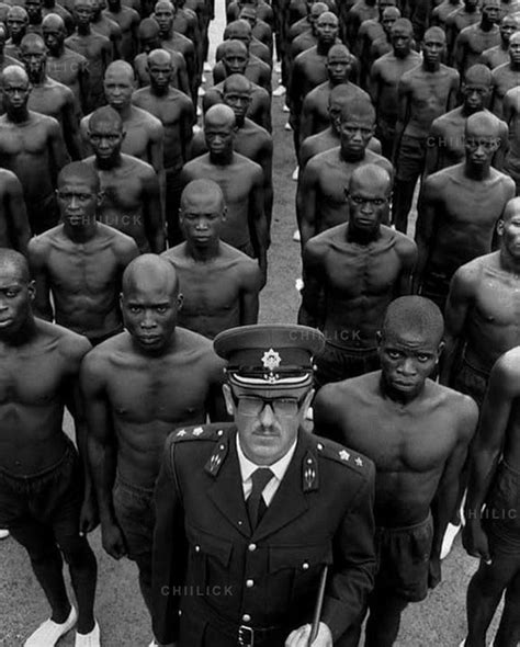 عباس عطار پایگاه عکس چیلیک