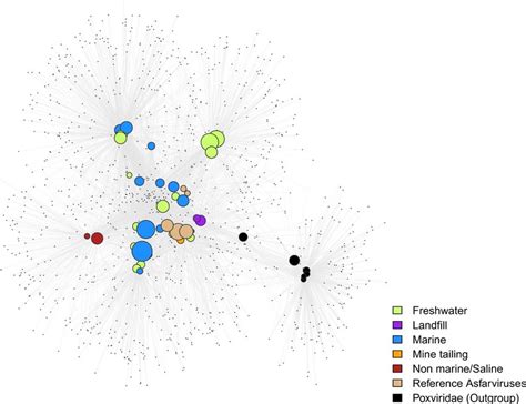 Bipartite Network Plot For The Mags The Larger Nodes Represent Genomes
